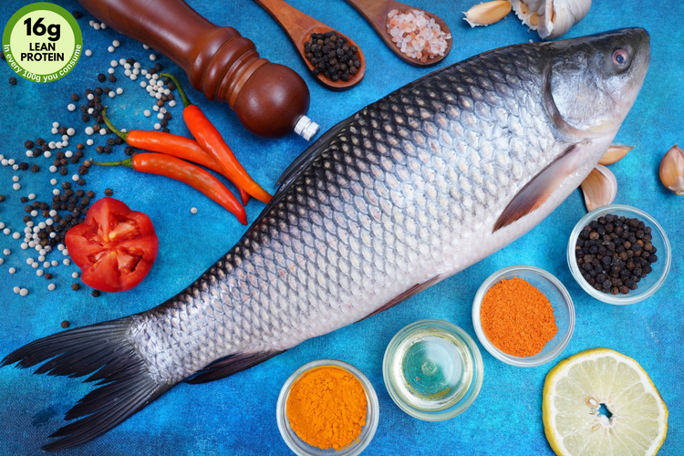 100% Traceable Fish Food Chain to provide Safe and natural rich food ...