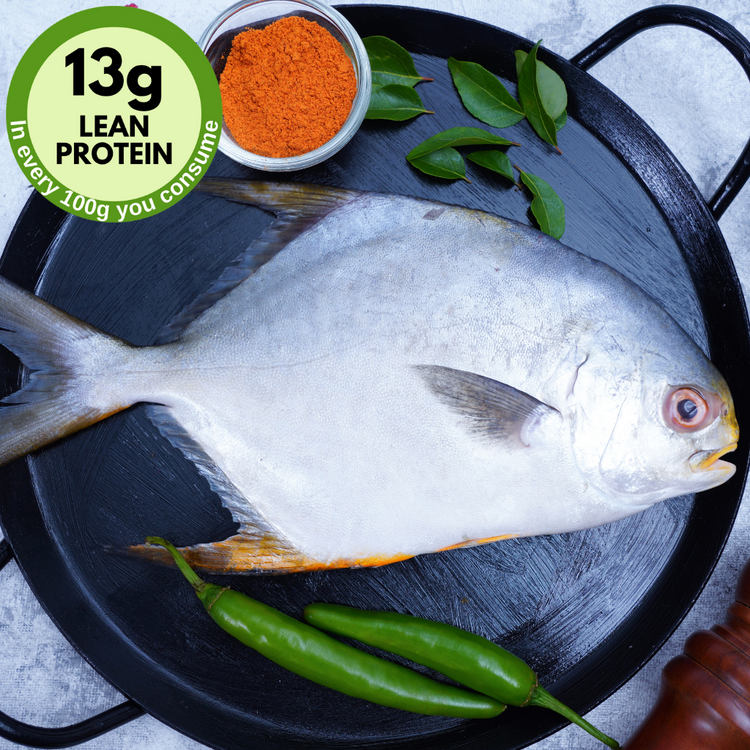 100% Traceable Fish Food Chain to provide Safe and natural rich food ...