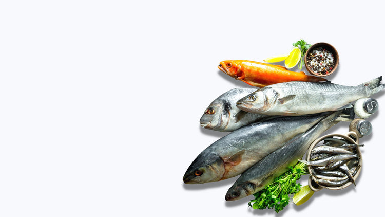 100% Traceable Fish Food Chain to provide Safe and natural rich food ...
